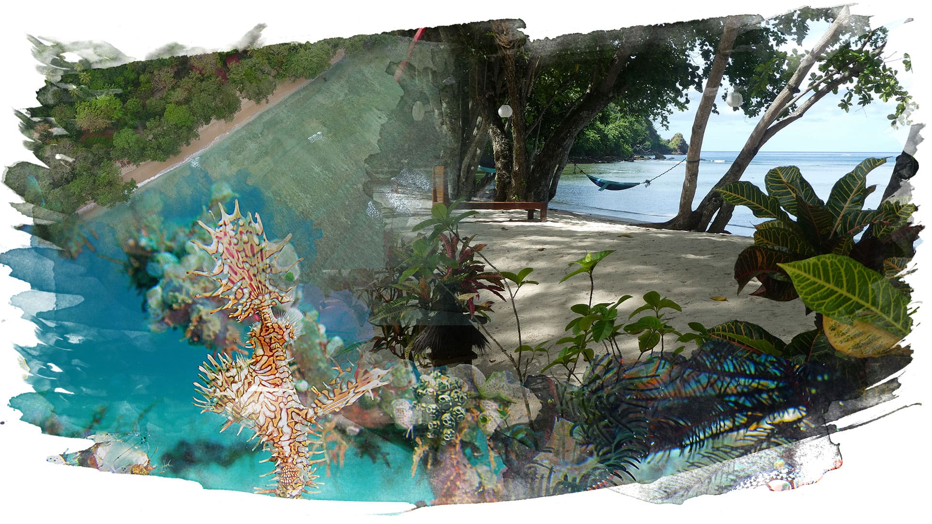 Pulisan Resort - Aqua Mountain Travel