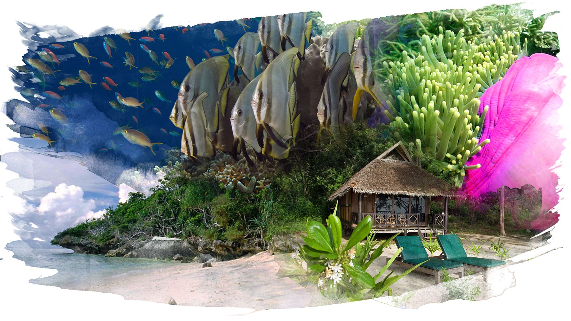 Selayar Dive Resort - Aqua Mountain Travel